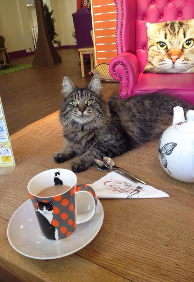 5 Crazy Restaurants in the UK - RestoConnection